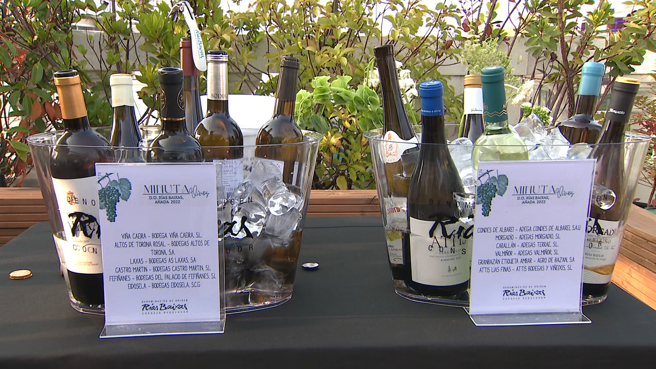A anada da D. O. Rías Baixas de 2022 cualificada de moi boa - G24