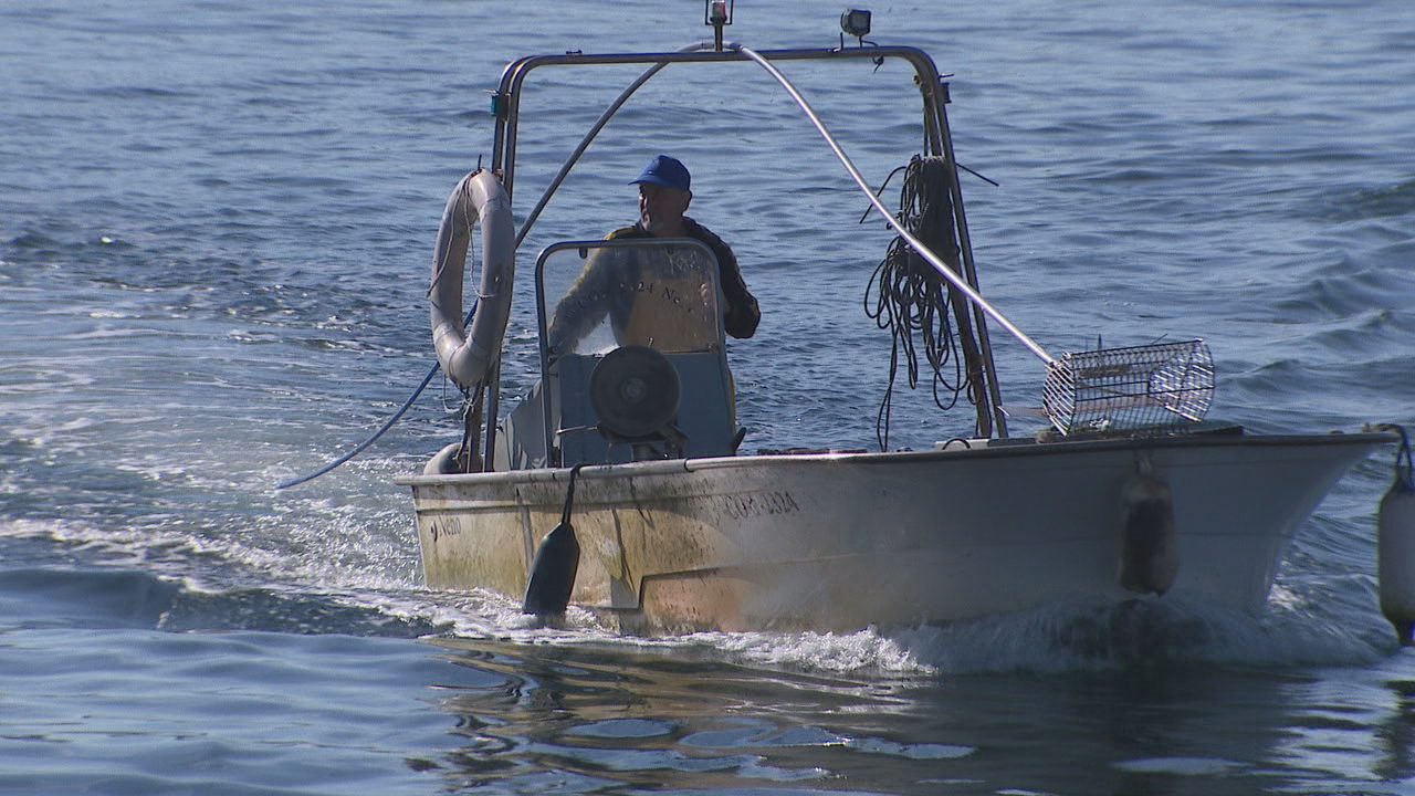Malestar entre os mariscadores da ría de Ferrol pola situación do banco das Pías - G24