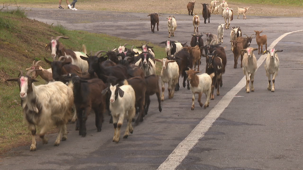A comunidade de montes de Baroña impulsa un centro colaborativo de ...