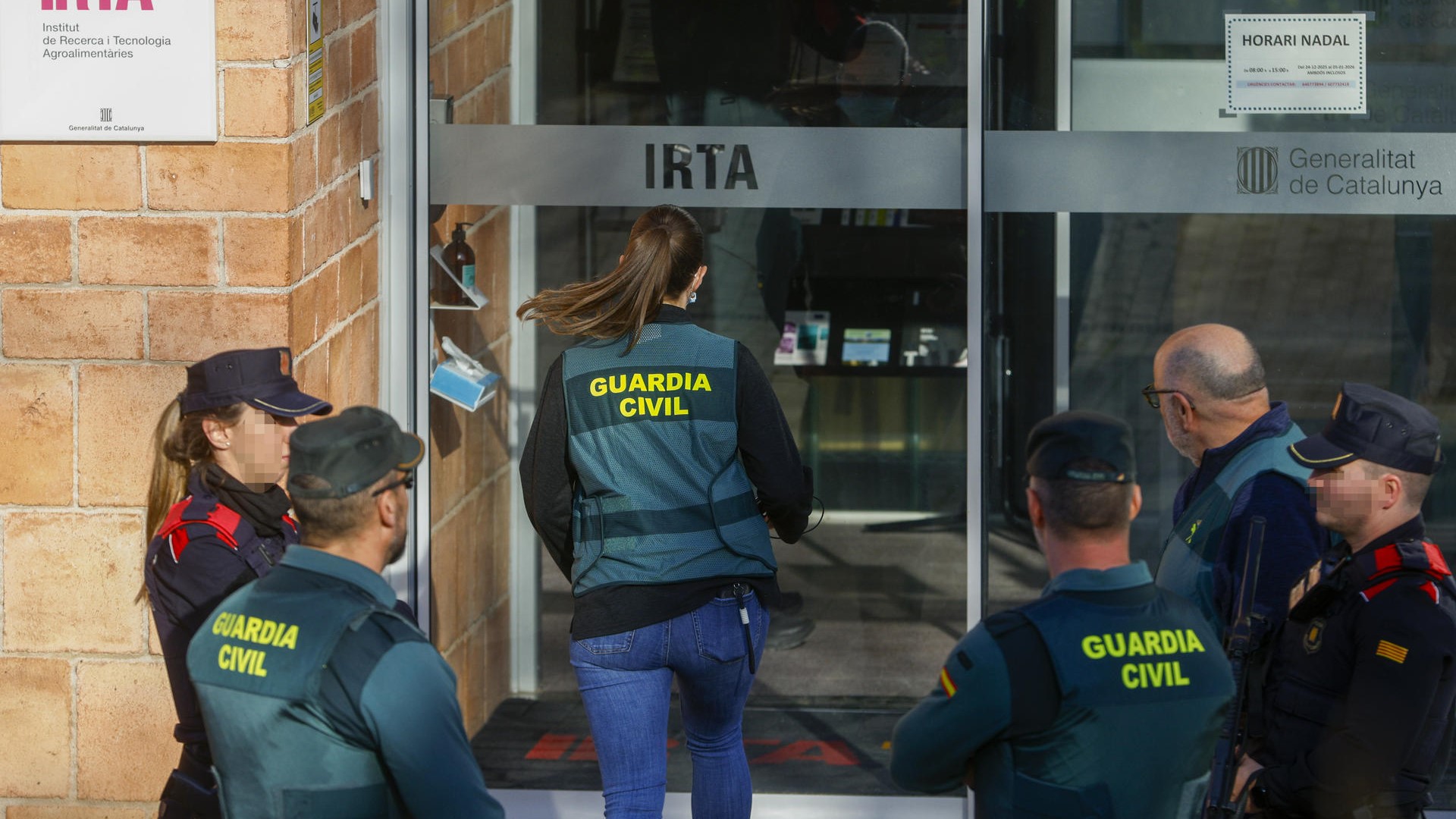 A Generalitat di que non hai evidencias de que o gromo de peste saíse ...