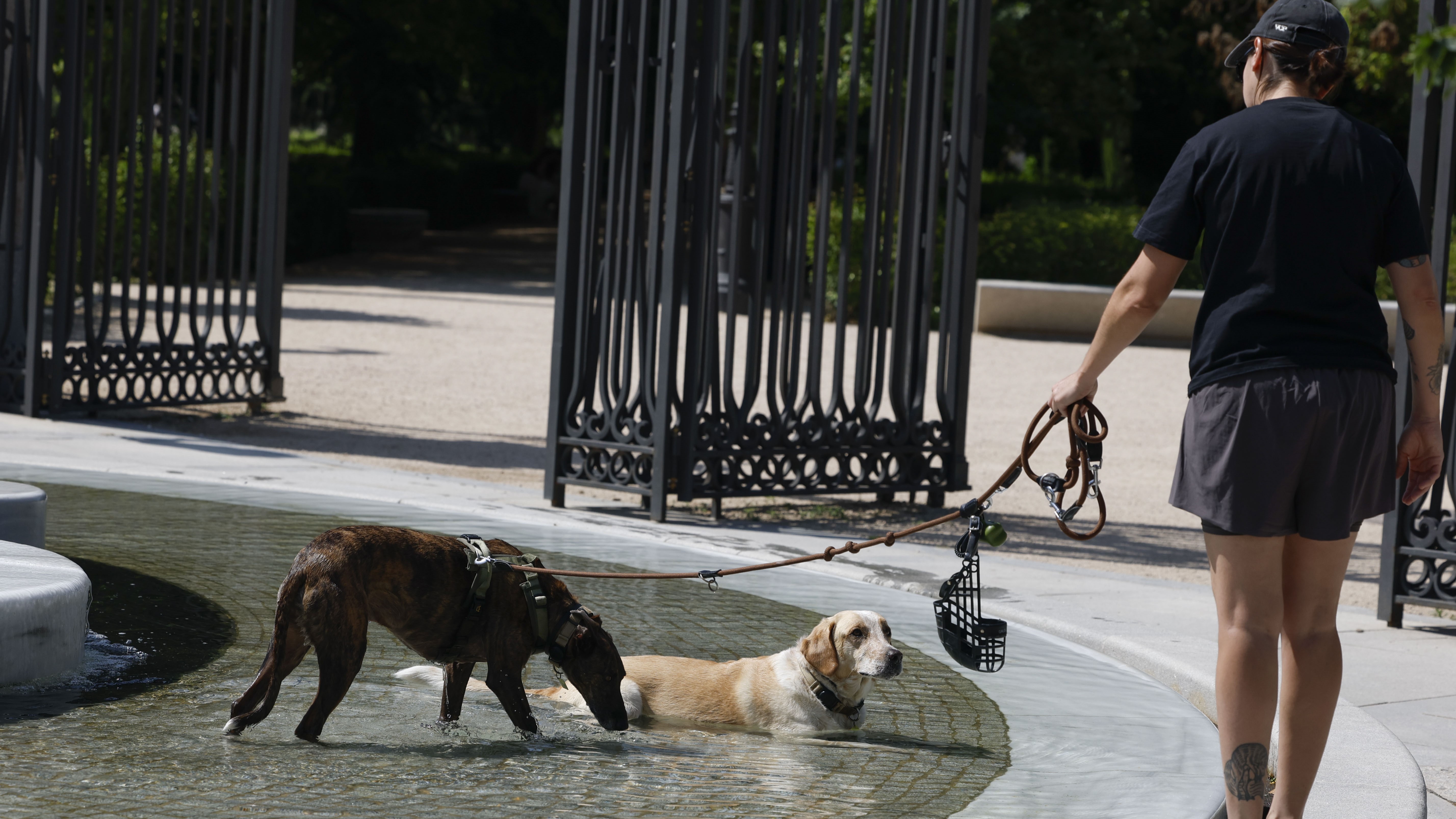 O verán arranca coa primeira vaga de calor e avisos extremos en gran ...